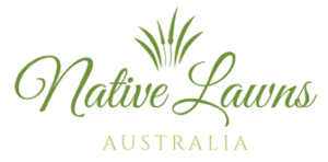 Native Lawn Australia - Native Lawns Australia
